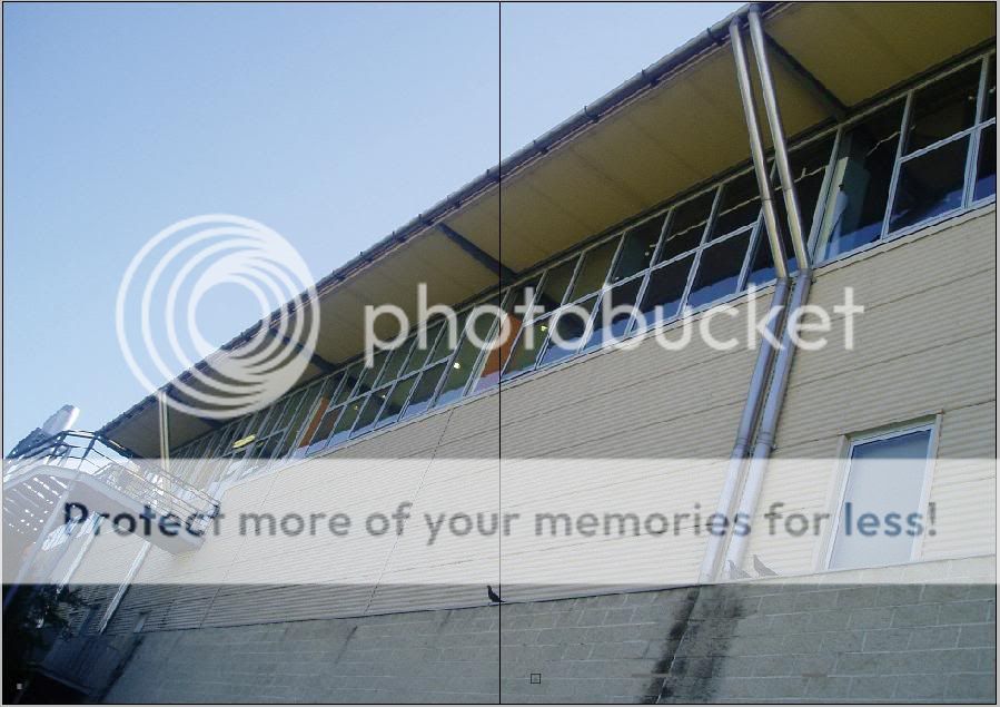 {freeform / studios} | is definitely not another designer’s weblog!