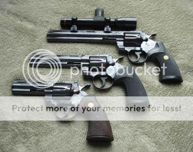 A pit of Pythons... | Colt Forum