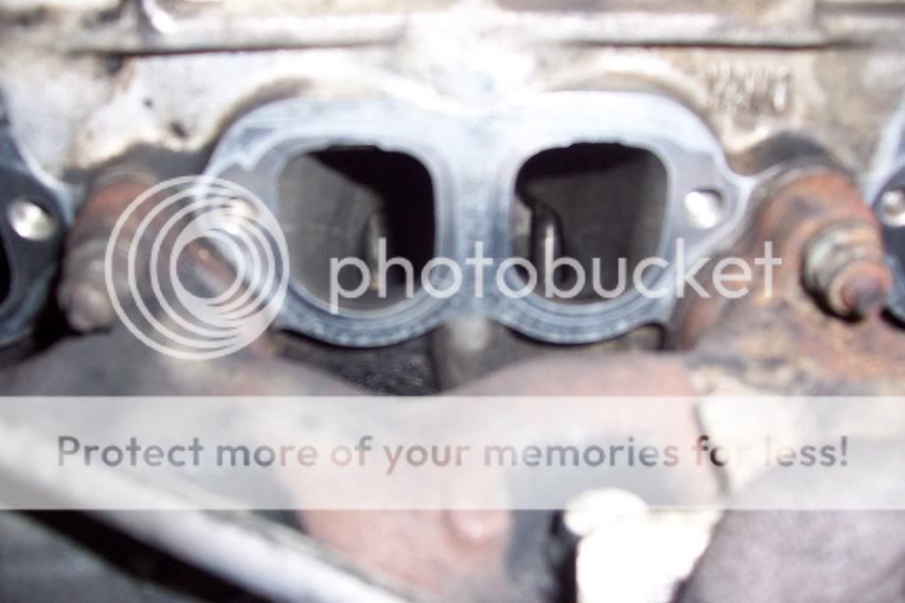 90 Golf TDI conversion | TDIClub Forums