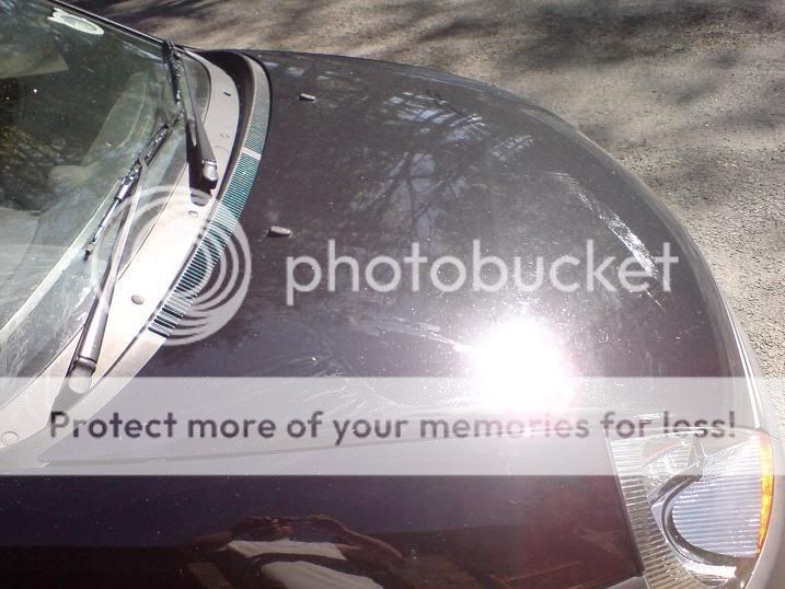 Cleaning up the courtesy Ka! *pics* : Member's Gallery | Fiesta Forums