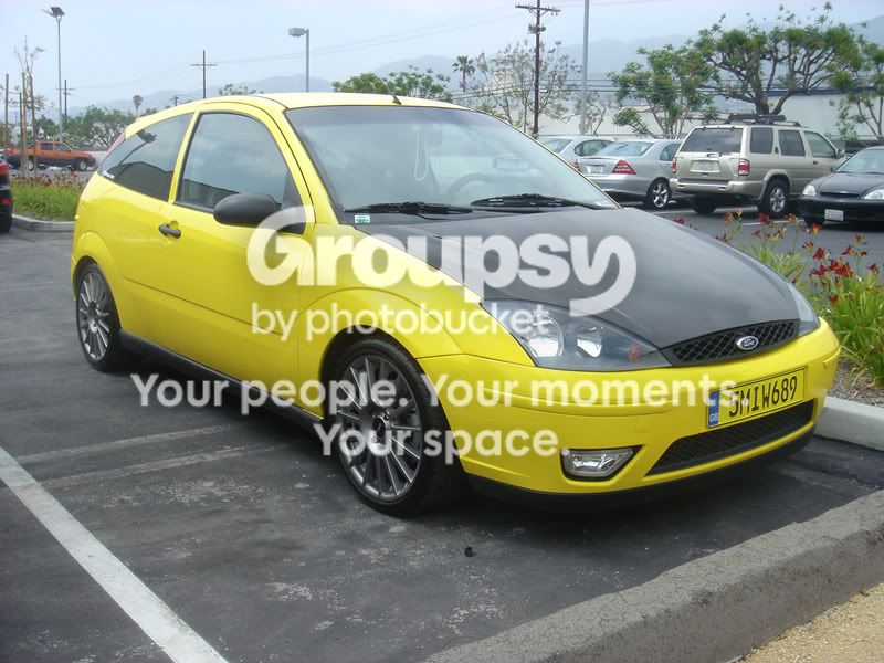 RIP Mellow Yellow FoFo | Focus Fanatics Forum