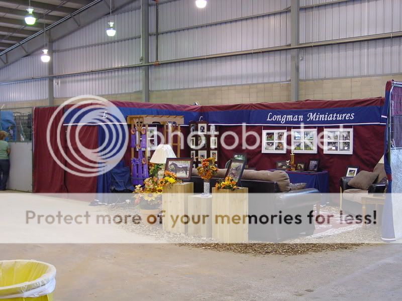 National Stall Decorations. | Miniature Horse Talk Forums