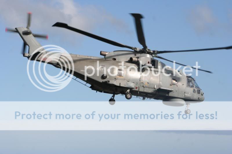 Merlin walkaround - Aviation Photography - Britmodeller.com