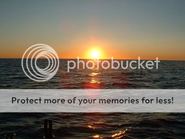 Hawkes Bay Ocean Beach - The Fishing Website : Discussion Forums