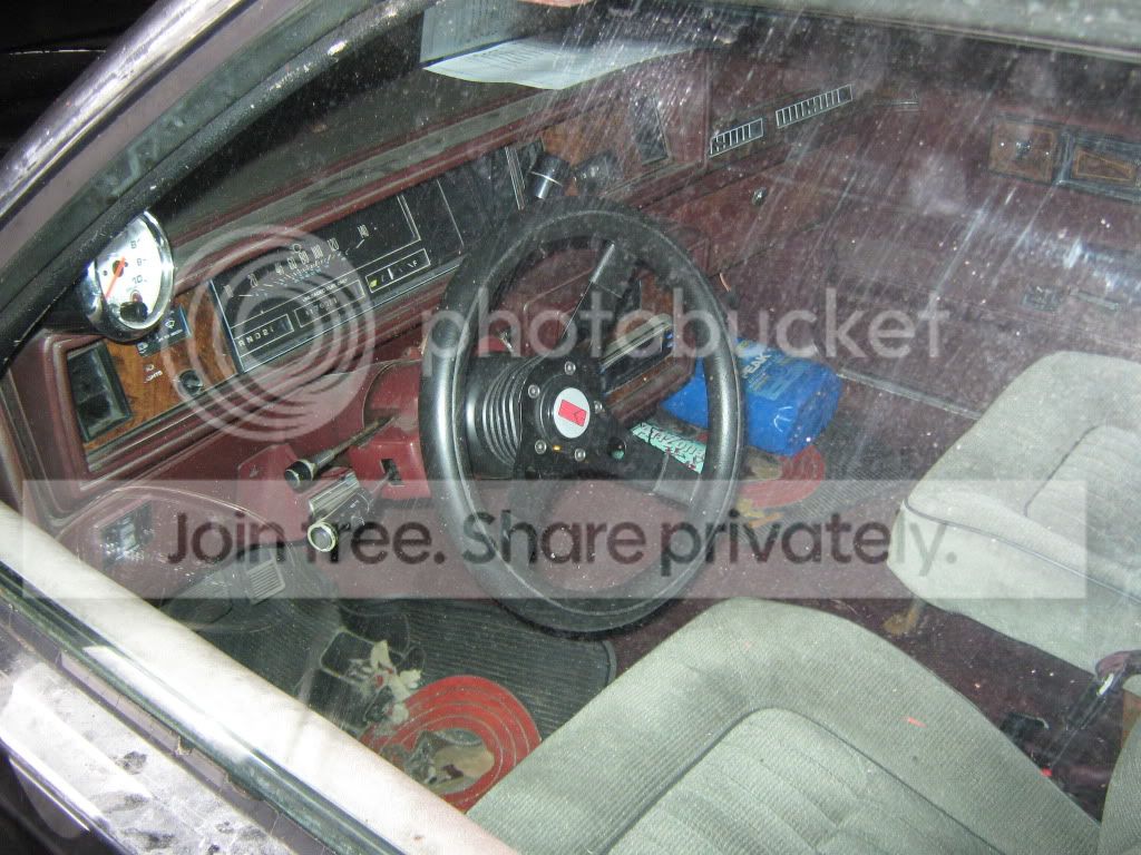 Cutlass 81' Brougham | GBodyForum - 1978-1988 GM A/G-Body Community
