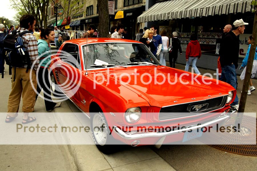 Car Show On State St., Madison Wisconsin, many pho - Dyxum