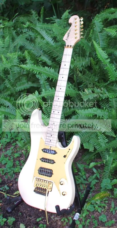Show off your Washburn, Stephens Extended Cutaways - Electric Guitars ...