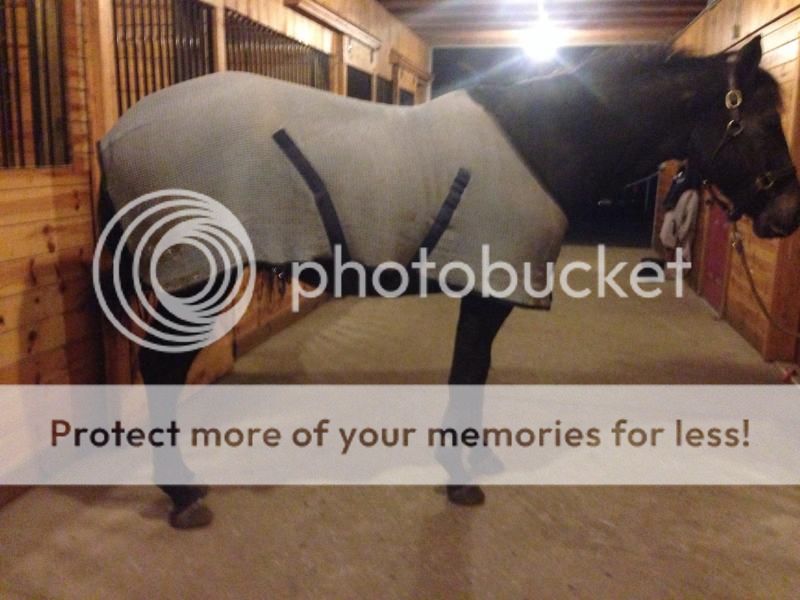 Please tell me her feet don't look as bad as I think they do!!! - Page ...