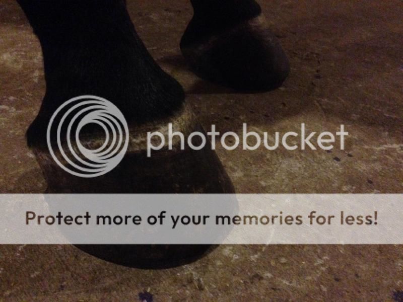 Please tell me her feet don't look as bad as I think they do!!! - Page ...