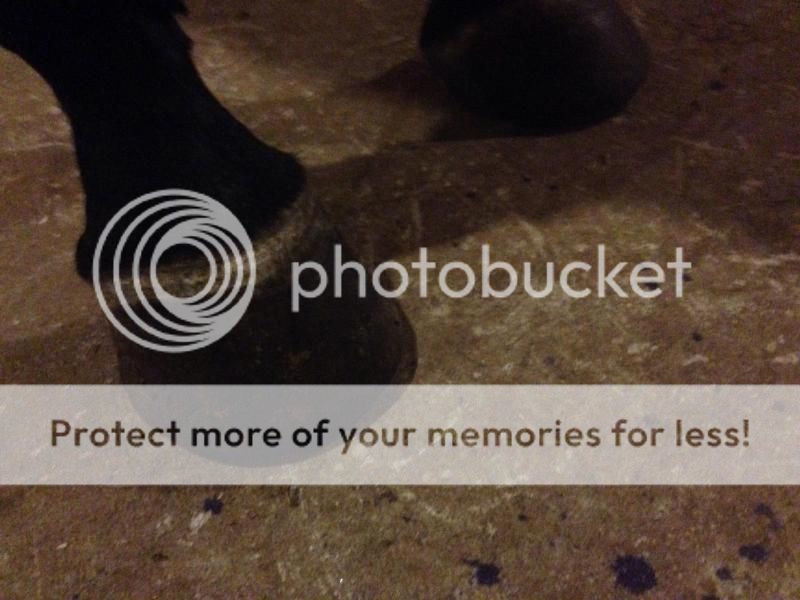 Please tell me her feet don't look as bad as I think they do!!! - Page ...