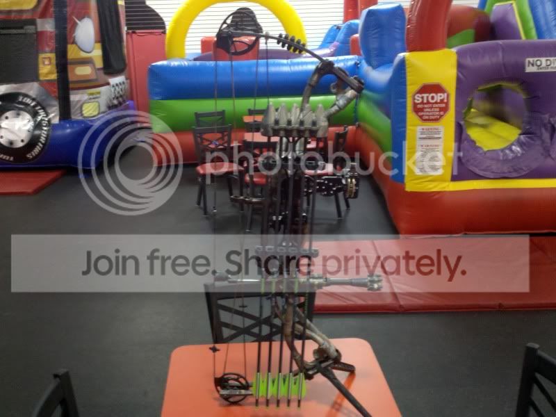 Hoyt Carbon Matrix Plus 65# limbs | Page 2 | Archery Talk Forum