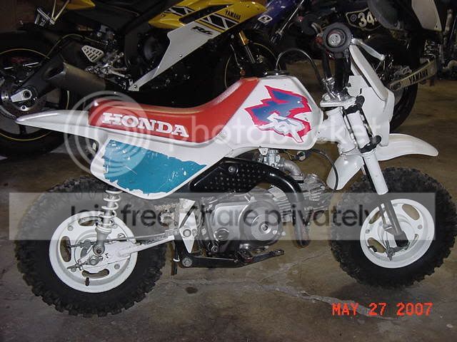 1993 Honda Z50r 4 sale | PlanetMinis Forums