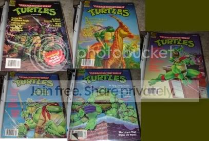 What am I remembering? - The Technodrome Forums