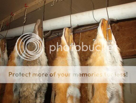 Canadian Trappers Talk Forum • View topic - My air machine (updated ...