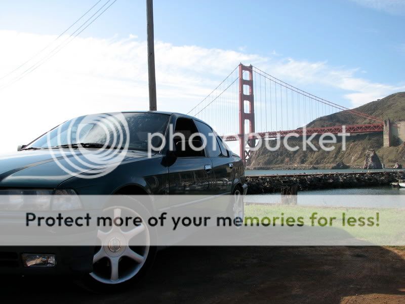 FS: 17" MSW Type 15s CHEAP | BimmerFest BMW Forum