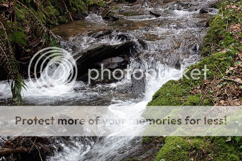 Rushing Stream | WatchUSeek Watch Forums