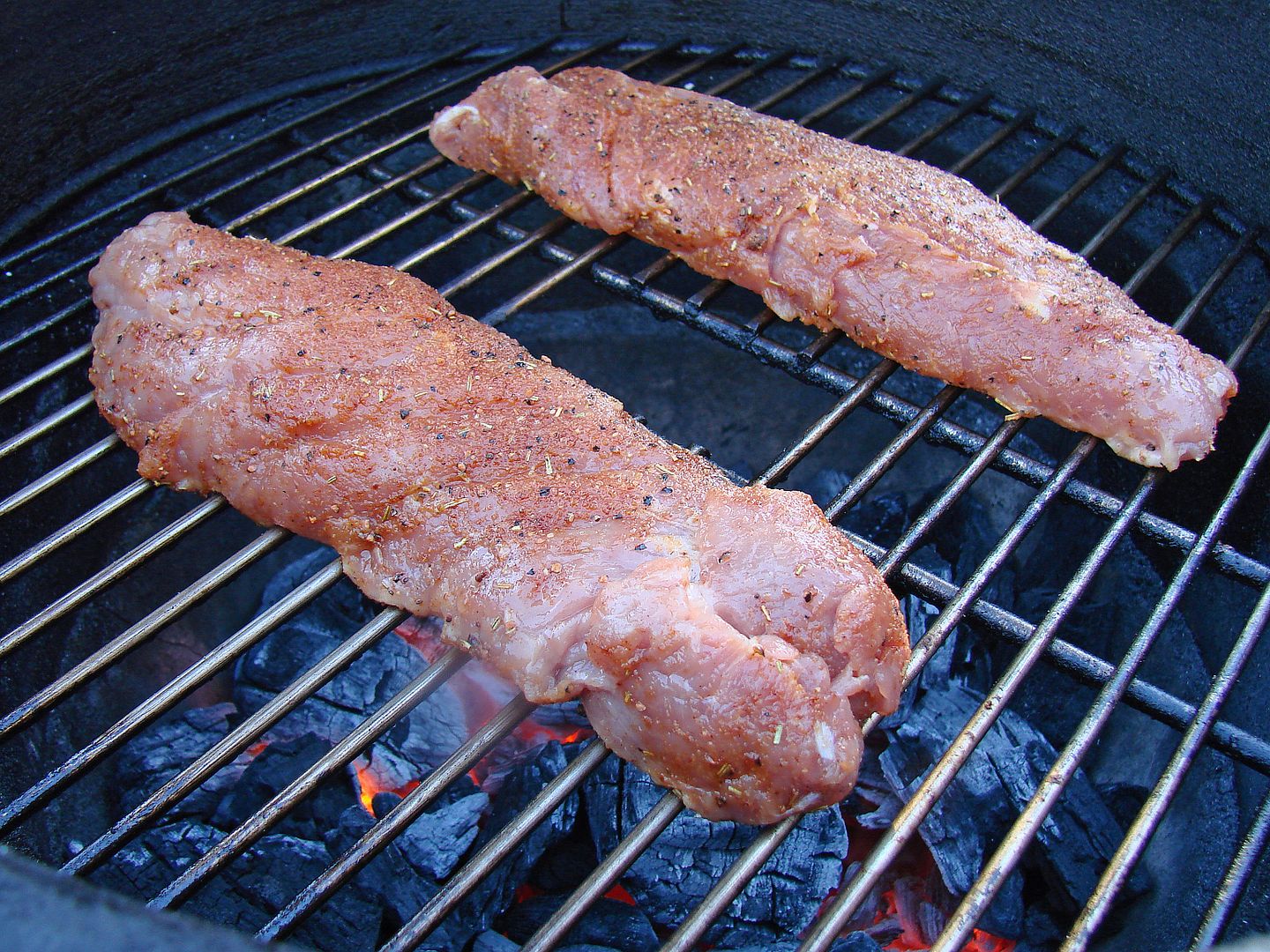 Any advice? | THE BBQ BRETHREN FORUMS