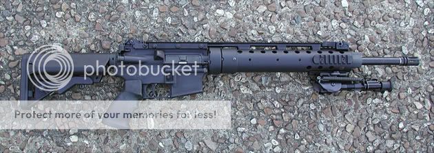 So, you want a Troy front & an SPR Rail too eh? SPR Goodness > Rifles ...