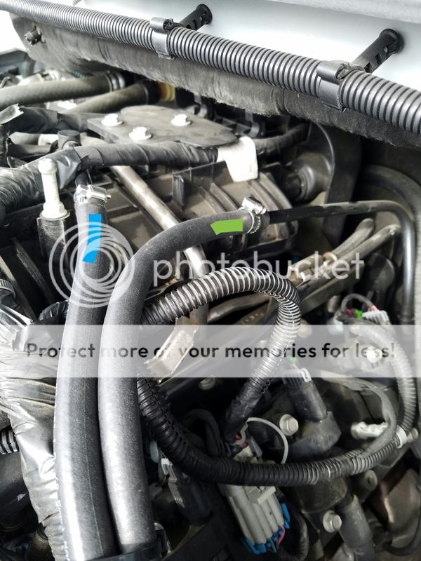 Catch can hose routing? | Chevy Silverado and GMC Sierra Forum