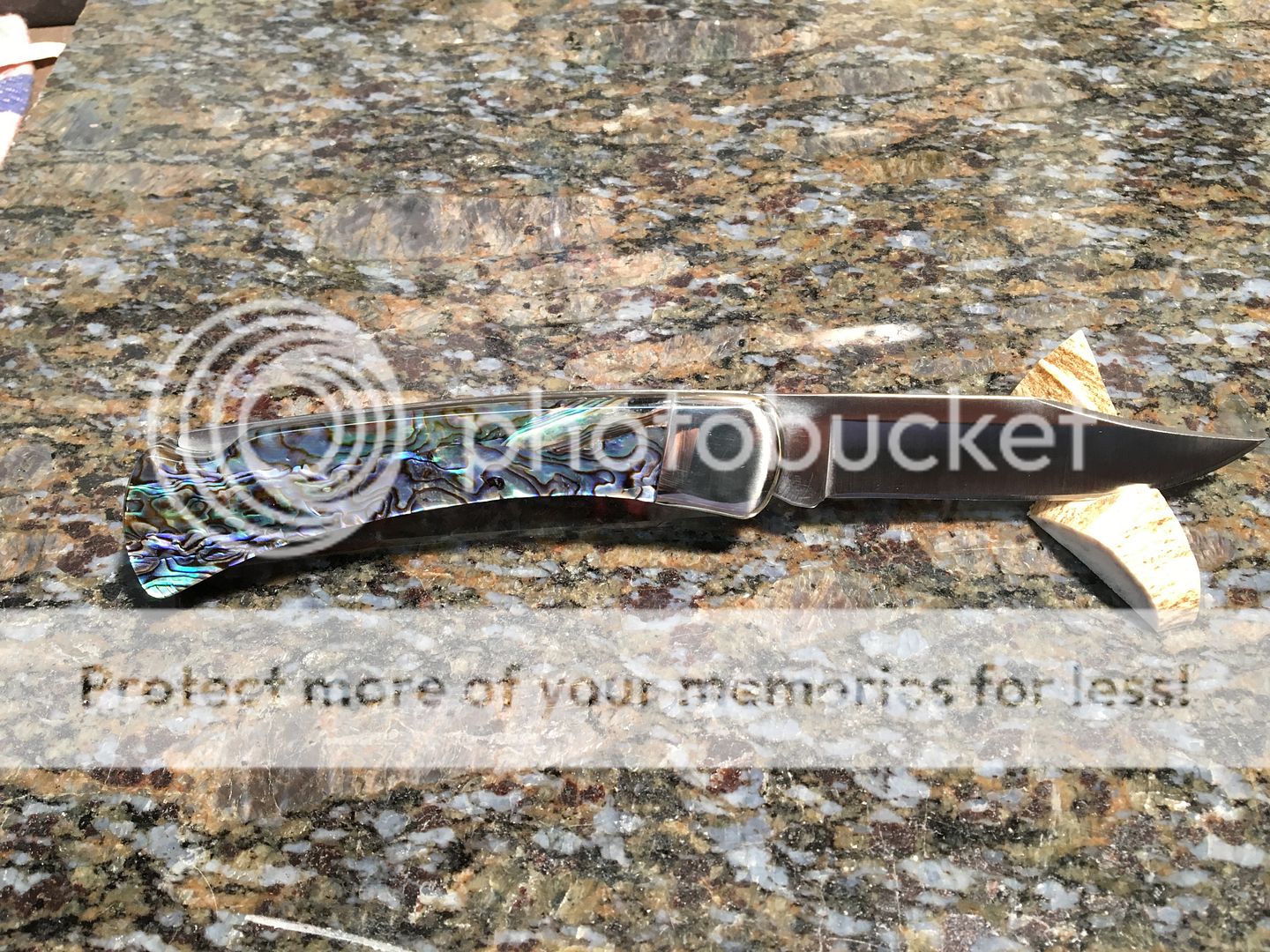 Just Arrived: Natural Abalone with Acrylic - STUNNING Jewel Abalone ...