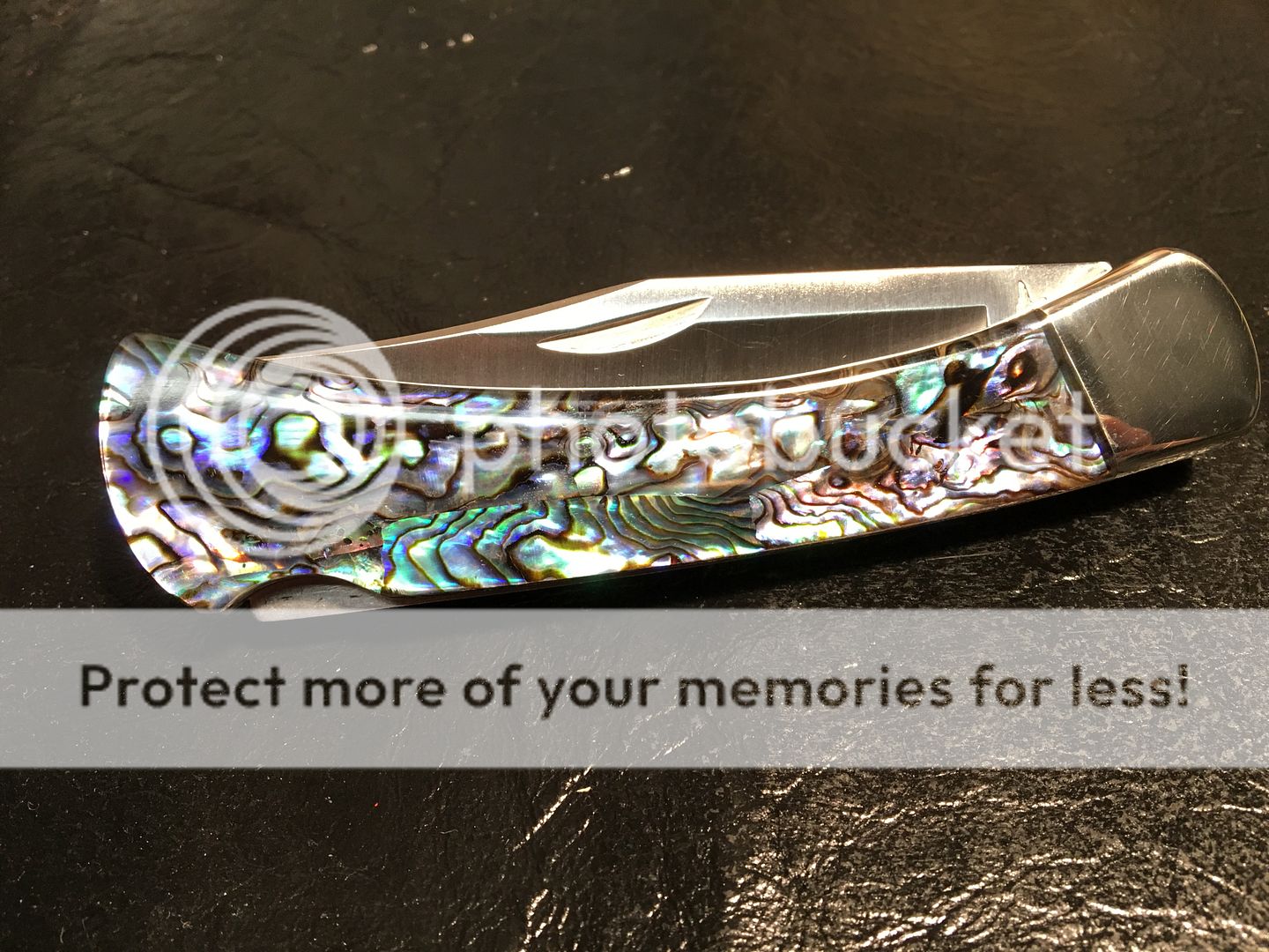 Just Arrived: Natural Abalone with Acrylic - STUNNING Jewel Abalone ...