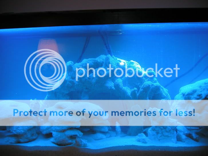 Agrocrete Rocks! | Michigan Reefers