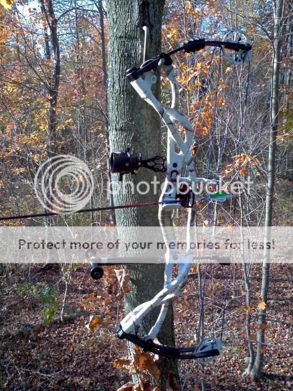 Let's see your Carbon Matrix bows | Page 4 | Archery Talk Forum