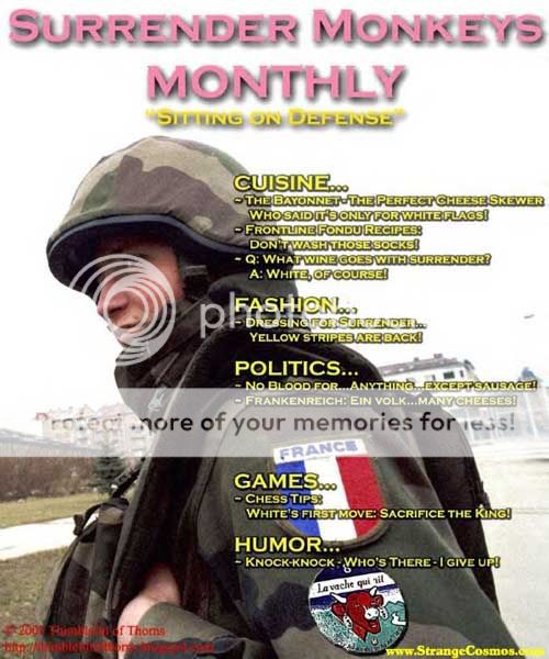 French soldier of surrender? > General Discussion > AR15.COM