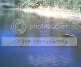 ever seen a rudderless air boat before - RCU Forums