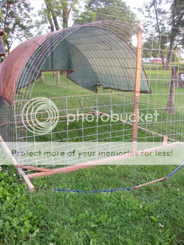 Livestock Panels For Chickens