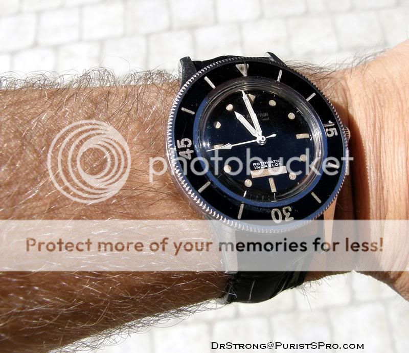 Rolex - These are moisture indicators