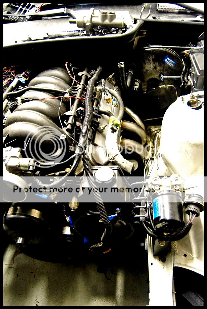 E36 LS1 content | VW Vortex - Volkswagen Forum