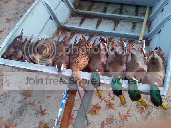 Wilmington Duckhunters | Duck Hunting Forum