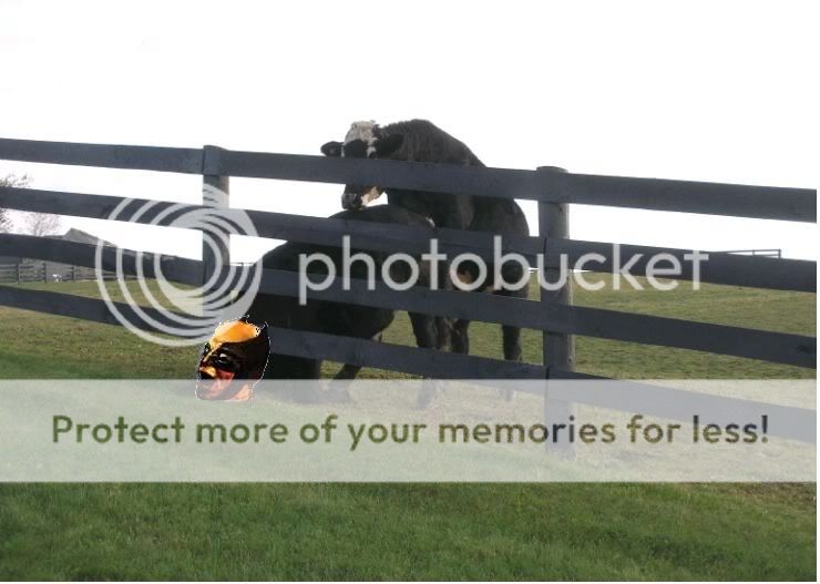 NWS: This girl got raped with her head stuck in a gate. *Pics* | Page 3 ...