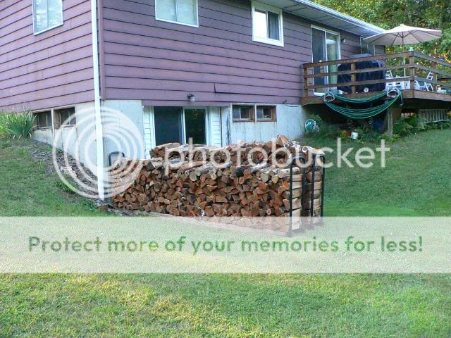 Wood ID | Arborist, Chainsaw & Tree Work Forum