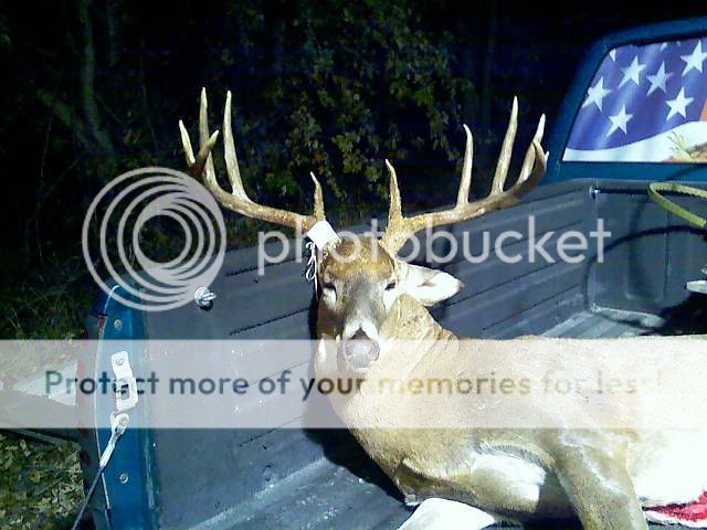 Monster 10 Pointer DOWN!!! | Archery Talk Forum