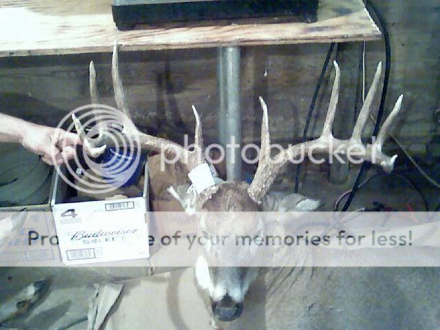 Monster 10 Pointer DOWN!!! | Archery Talk Forum