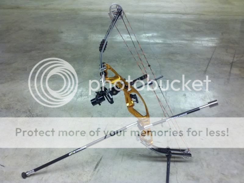 *Who has the best looking bow on AT?* | Page 16 | Archery Talk Forum