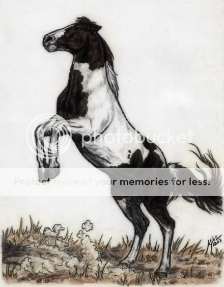 kh|enya .:. Drawing: Pinto