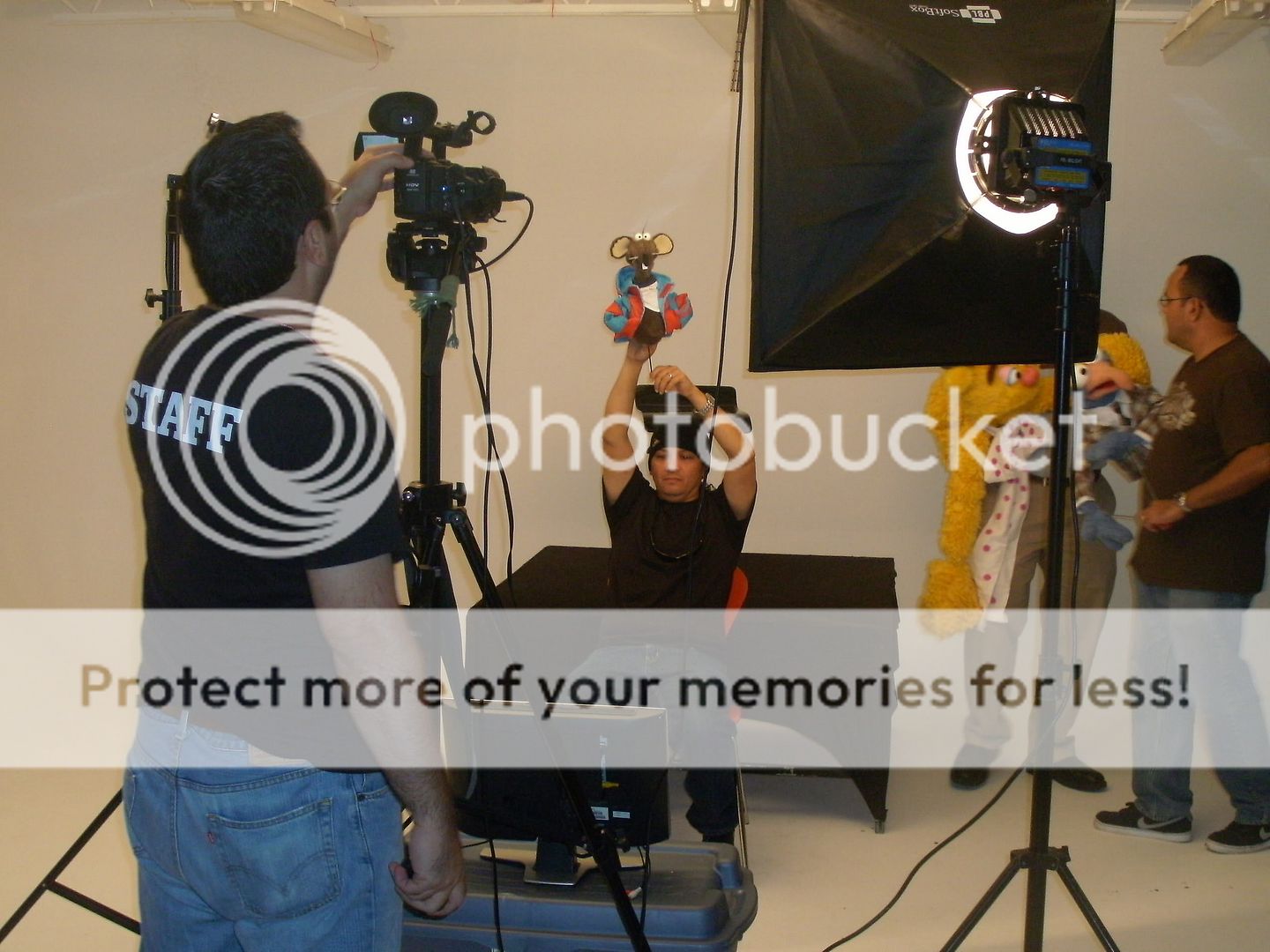 My Muppet replicas | Muppet Central Forum