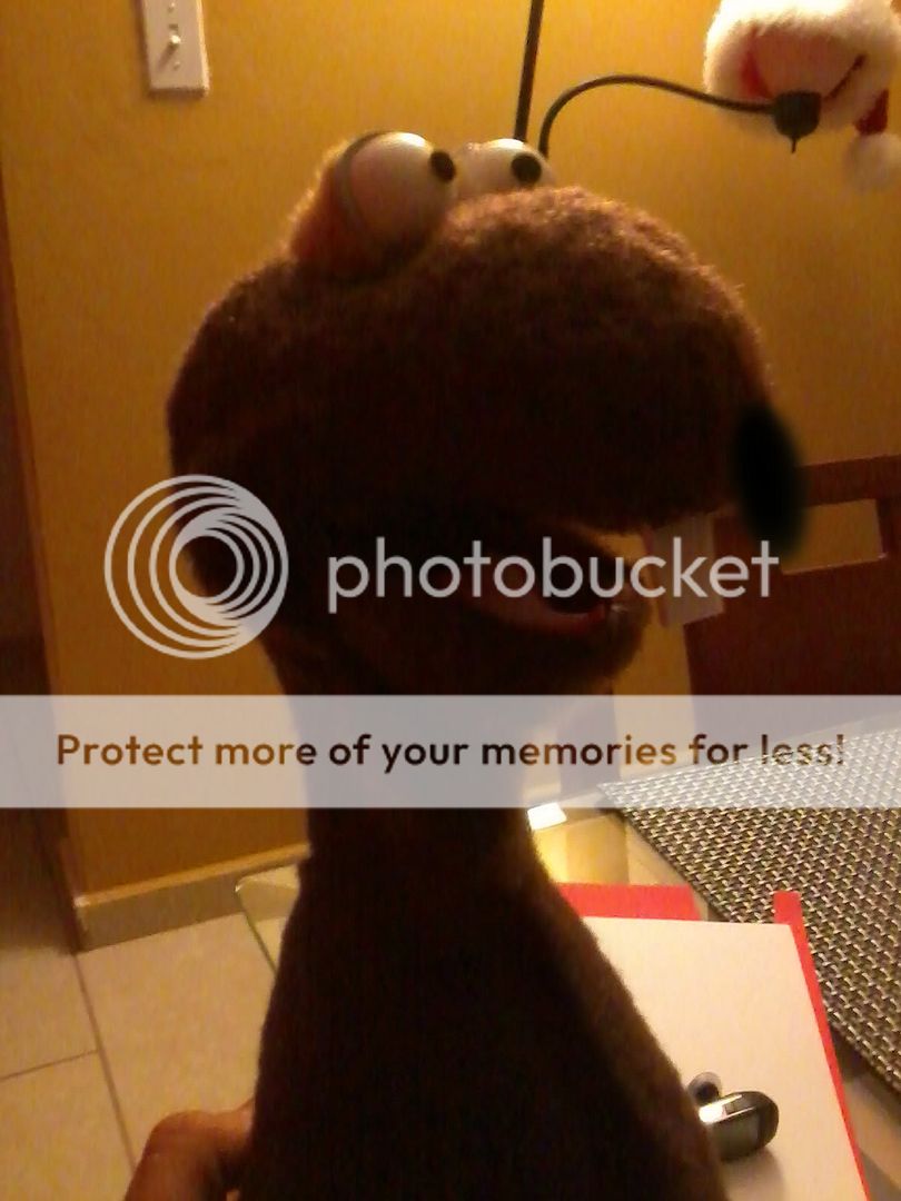 My Muppet Replicas | Page 5 | Muppet Central Forum