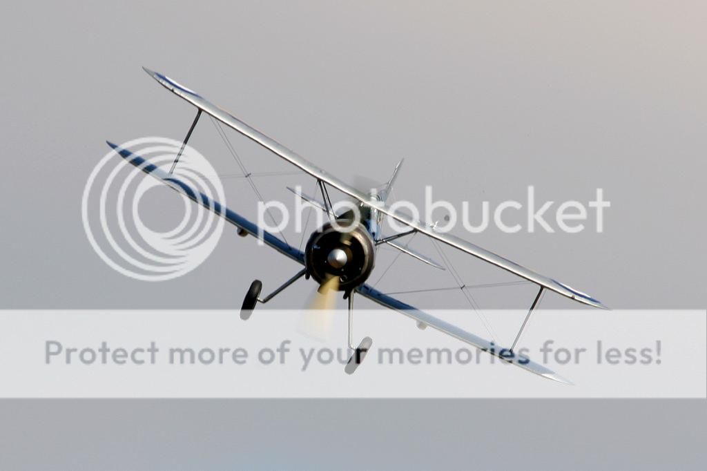 Gladiator bird strike at Pageant? - UK Airshow Review Forums