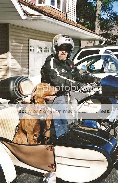 DOG CARRIER | Can Am Spyder Forum