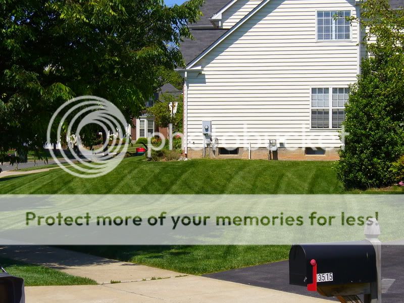 Wide area walk behind mowers anyone? | Team Camaro Tech