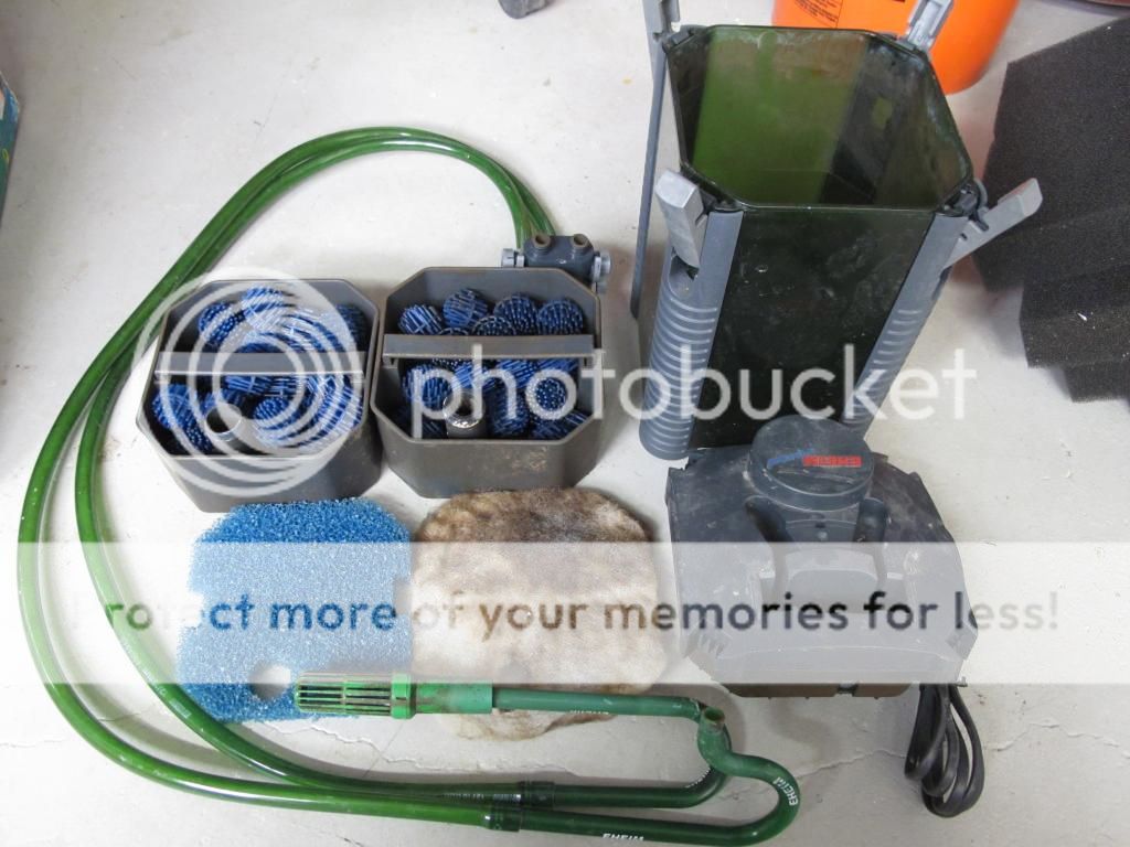 Eheim Filters, inline heaters, co2 reactor, poret sponge, T8 light ...