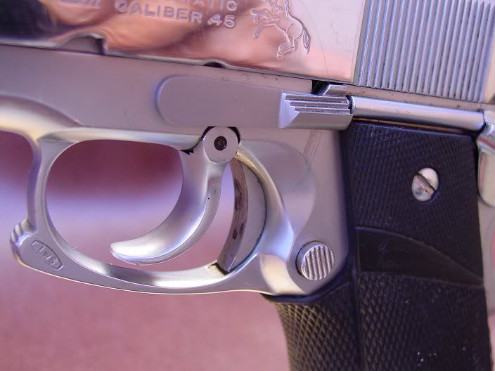 Colt 1911 .45 Seecamp conversion | 1911Forum