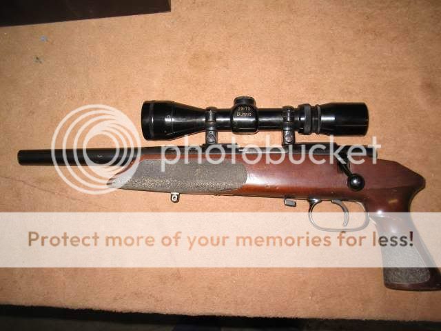 22 hornet | Rimfire Central Firearm Forum