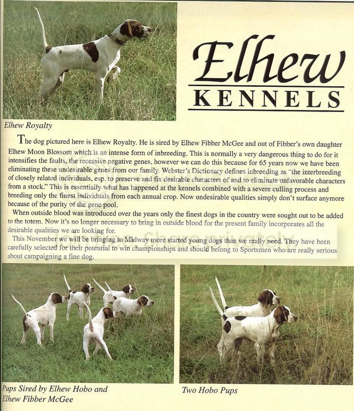 ELHEW ROYALTY Question - Gun Dog Forum