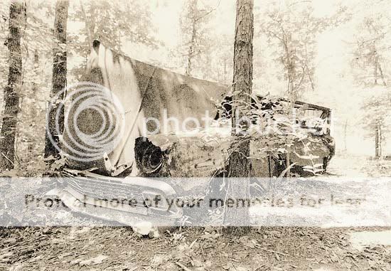 a few lith prints | The Photography Forum