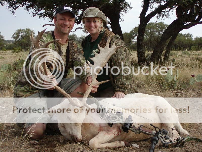 100 gr Sonic broadheads? | Archery Talk Forum